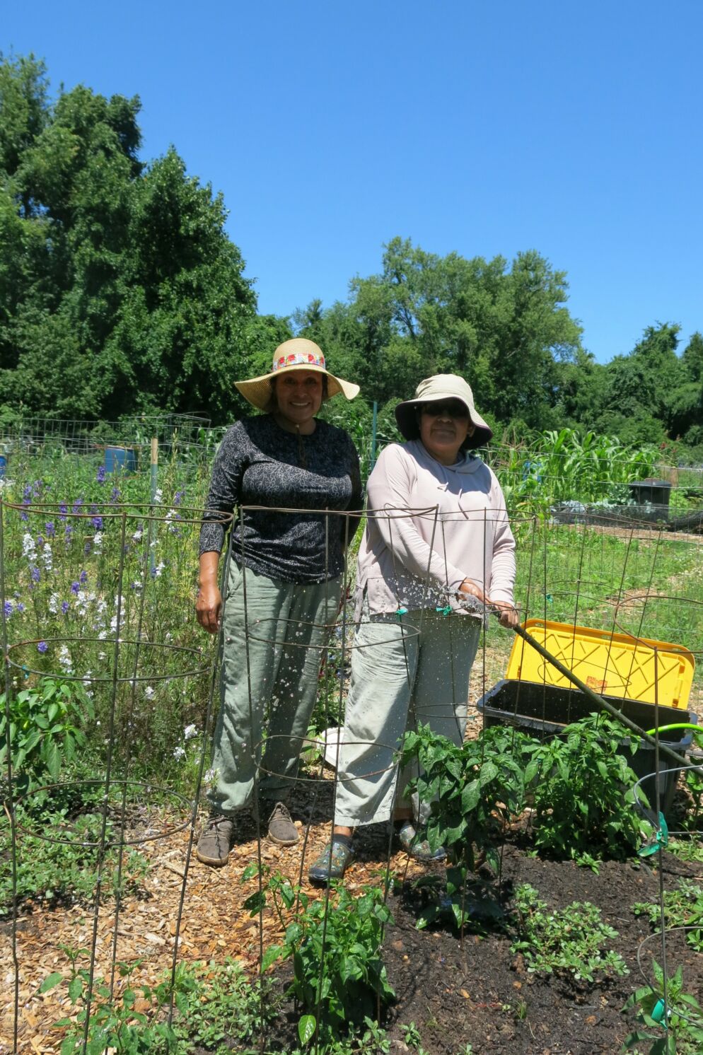 Cultivars & Cultures: Montgomery Parks Community Garden Program ...